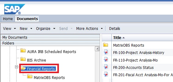 IT Knowledge - Locate BI Launch Pad Documents - IT Service Portal